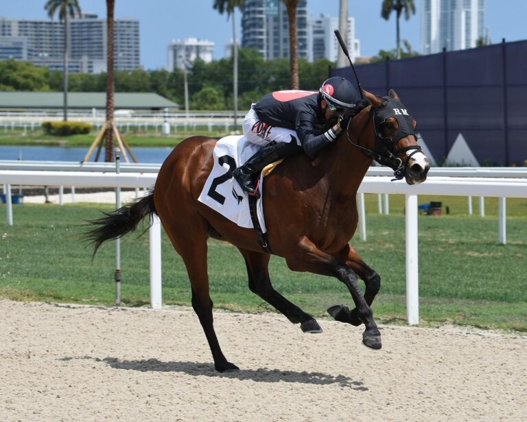 Professional Racing Horse Training – Elite Hoof Hub